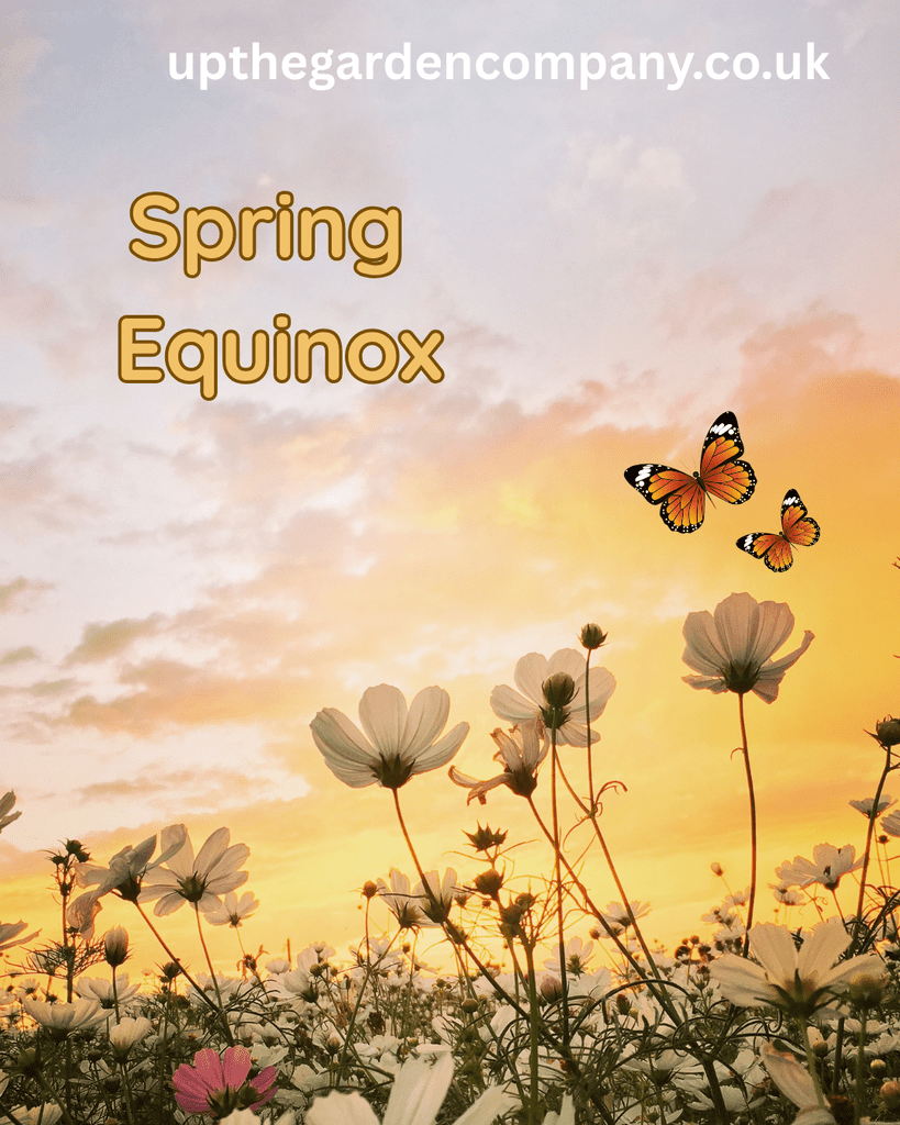 Celebrating New Beginnings: The Spring Equinox