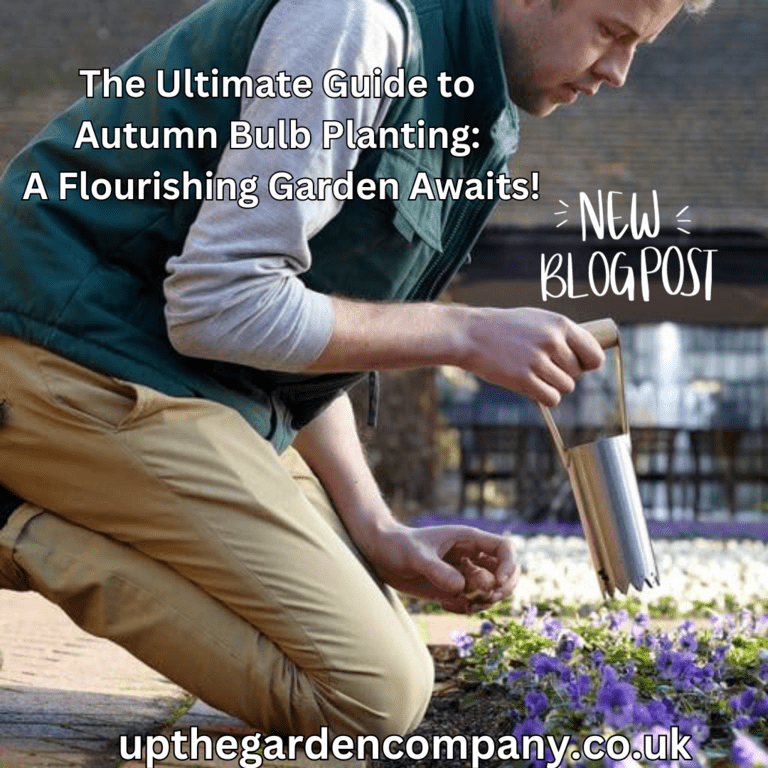 Guide to Autumn Bulb Planting: A Flourishing Garden Awaits