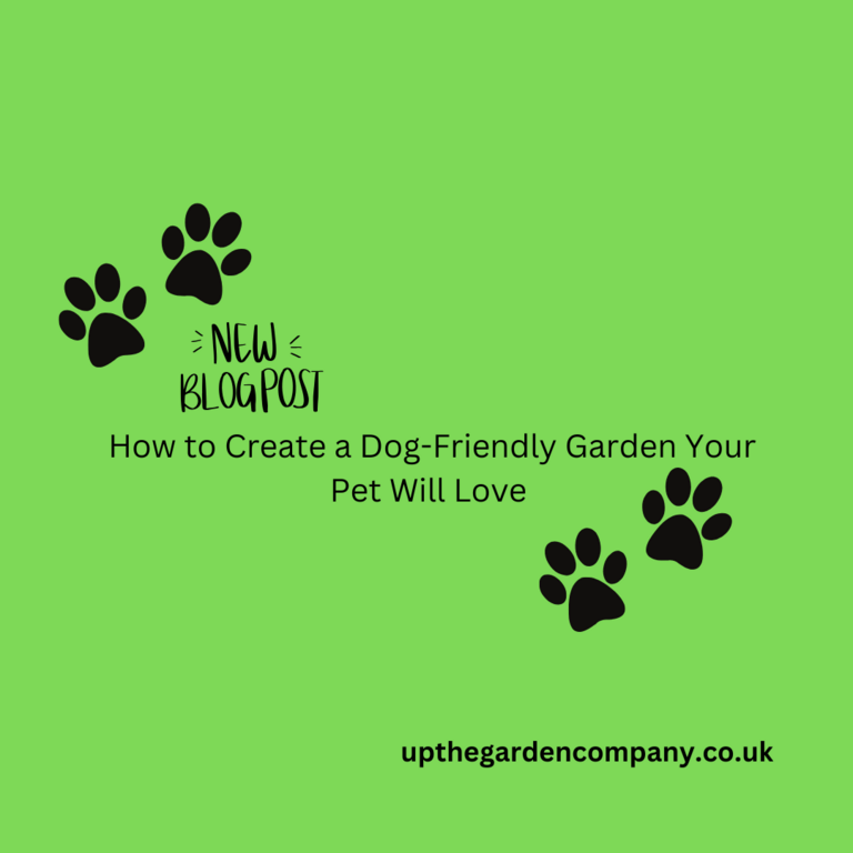 How to Create a Dog-Friendly Garden Your Pet Will Love