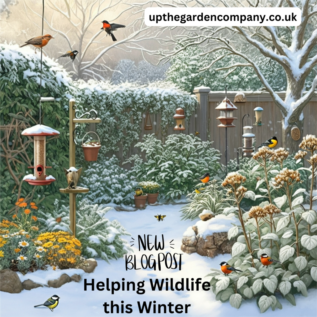 All About the Yellow Rattle Plant: A Gardener’s Guide to Native Wildflowers