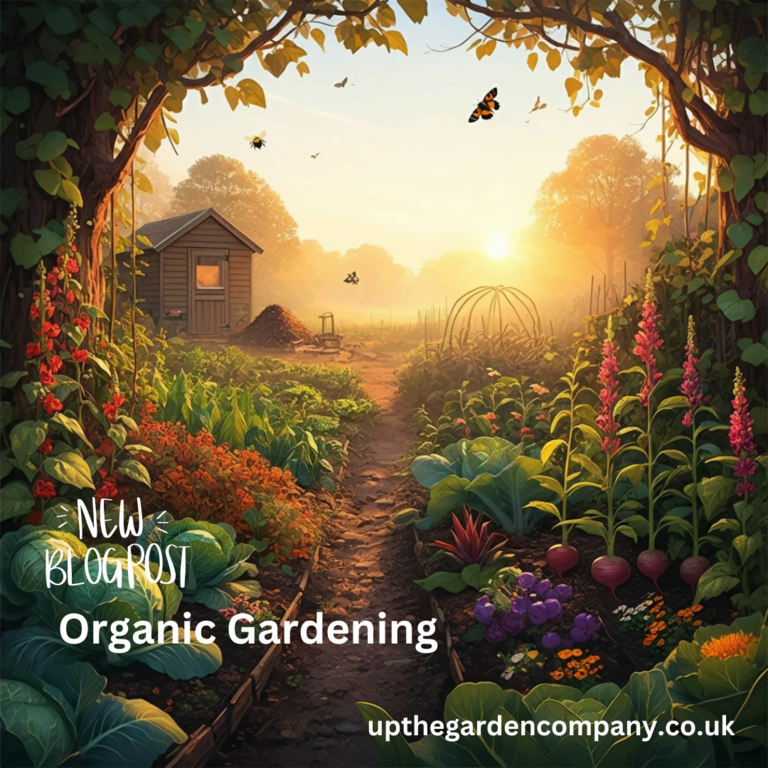 All About the Yellow Rattle Plant: A Gardener’s Guide to Native Wildflowers