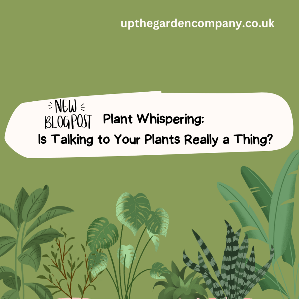 Plant Whispering: Is Talking to Your Plants Really a Thing?