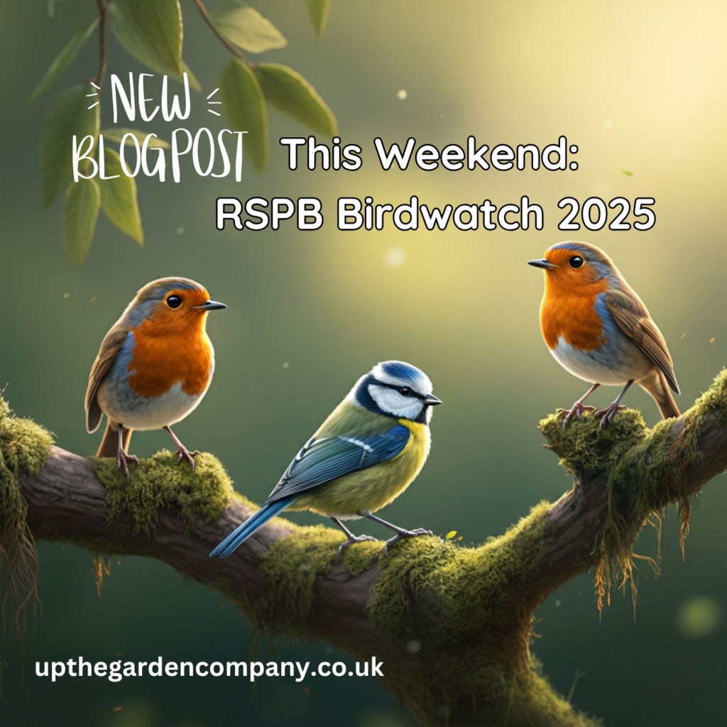 RSPB Birdwatch 2025