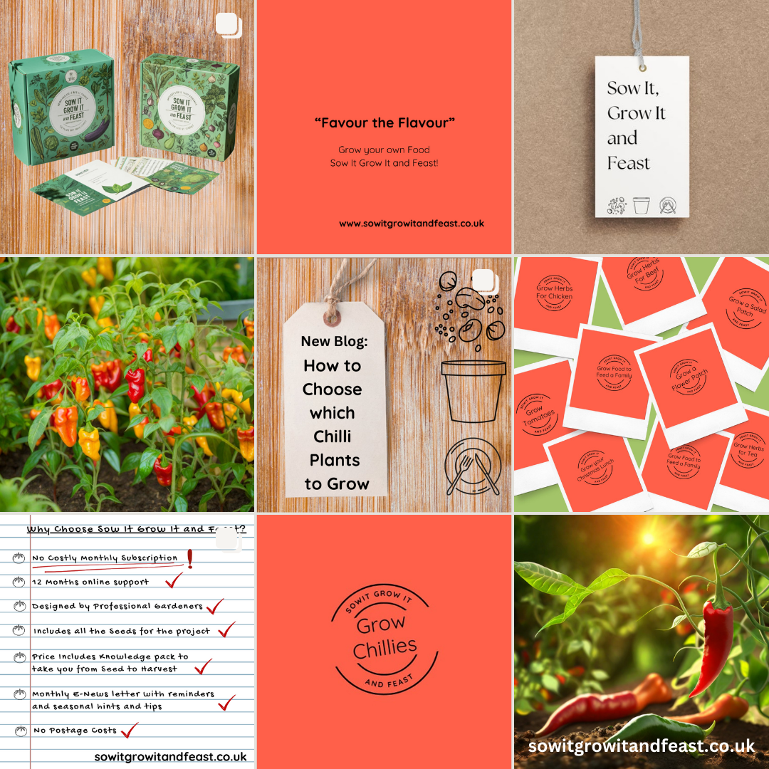 All About the Yellow Rattle Plant: A Gardener’s Guide to Native Wildflowers