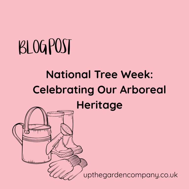 National Tree Week Guide: 22-30 November Tree Celebration